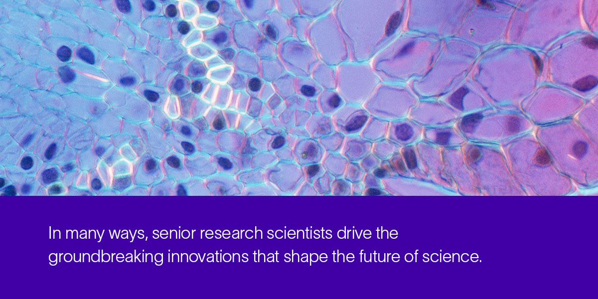 How to become a Senior Research Scientist